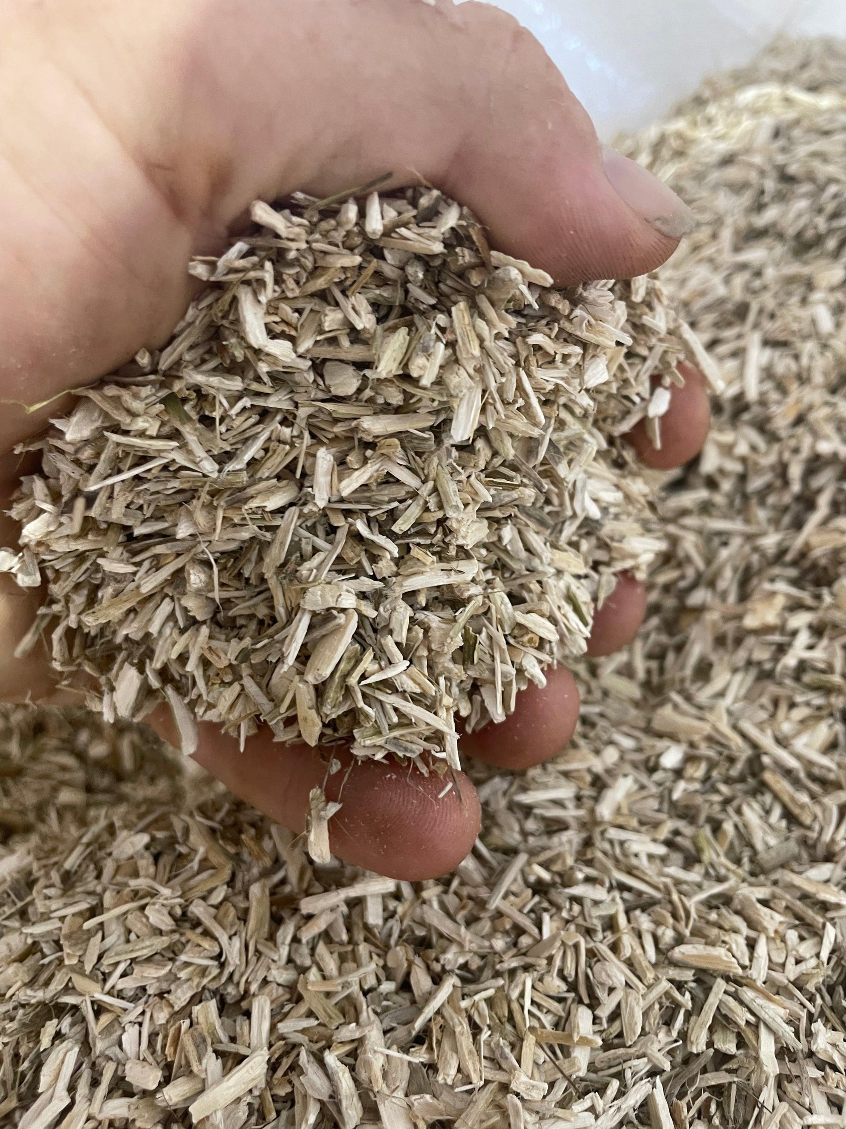 100% Australian Hemp Hurd – Broadleaf Hemp